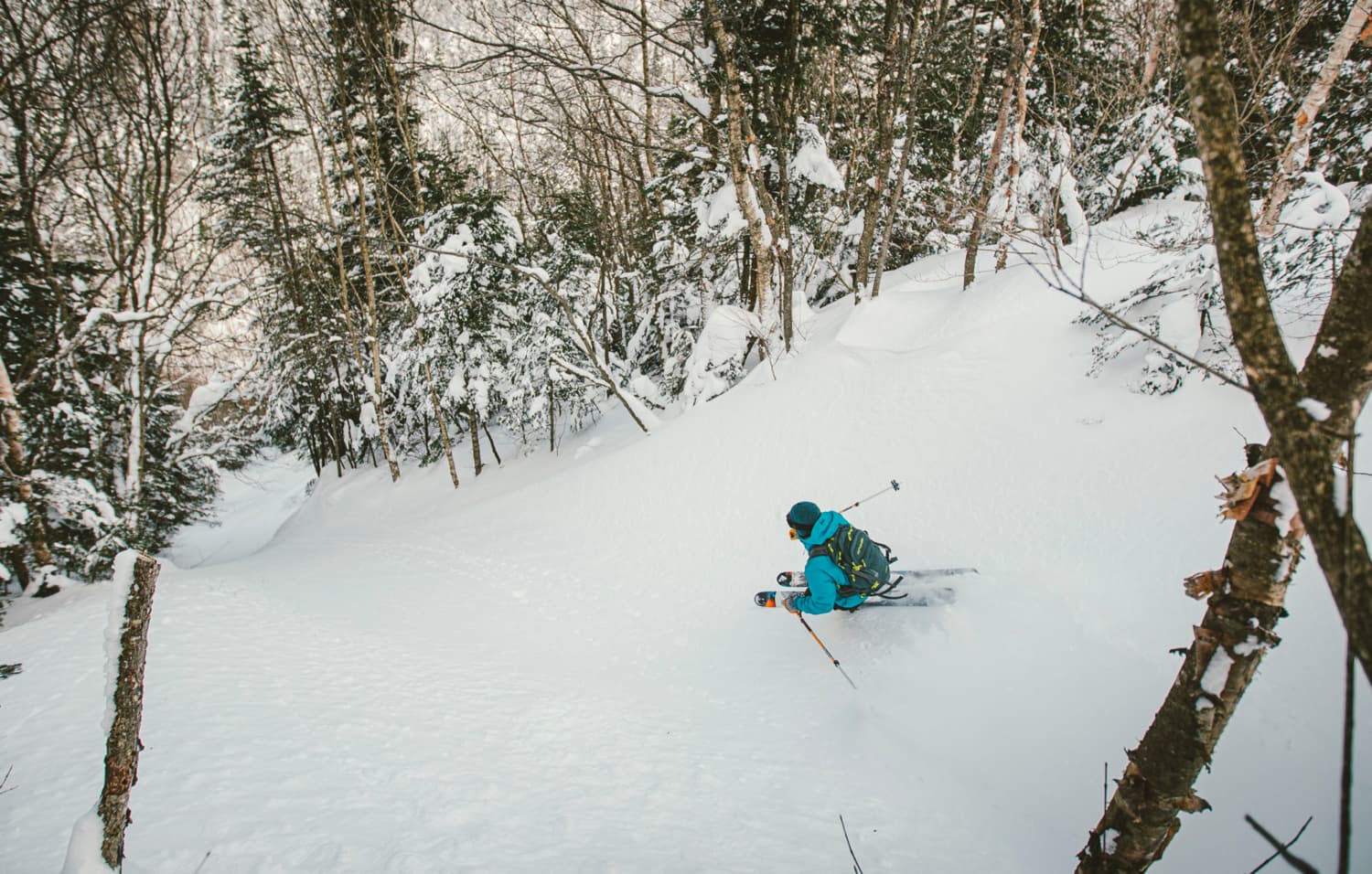 Beginner’s Guide To Skiing Powder | SkiBlog
